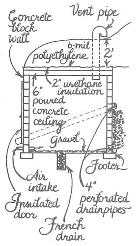 Building Root Cellars in Basements – Mother Earth News